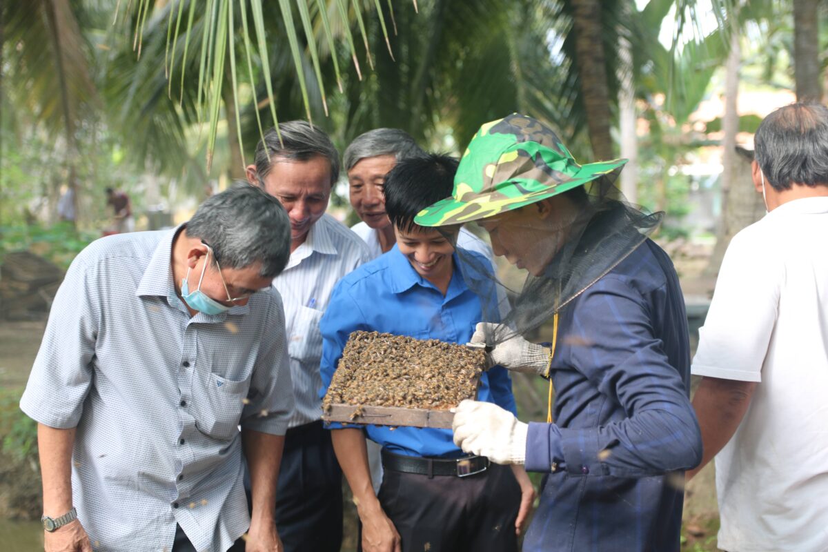 HTX Hương Mỹ phối hợp CTY Tâm Phúc giới thiệu mô hình nuôi ong lấy mật